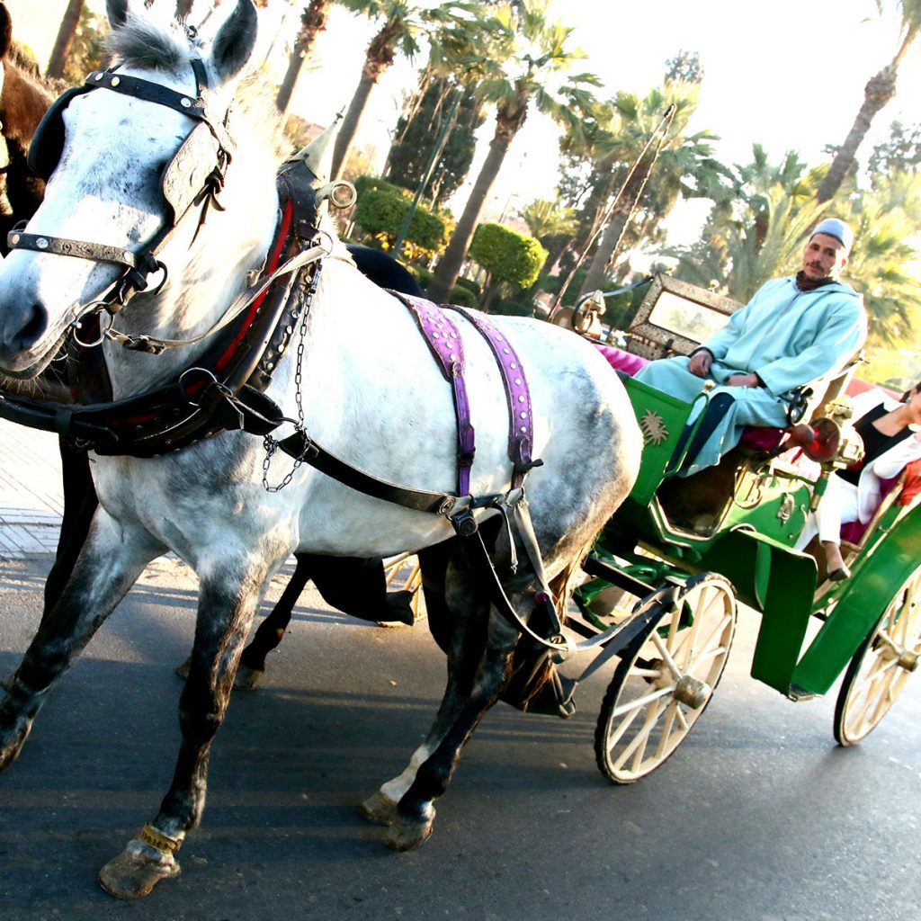 Mystery, Mint Tea & Marrakech - Key Biscayne Magazine