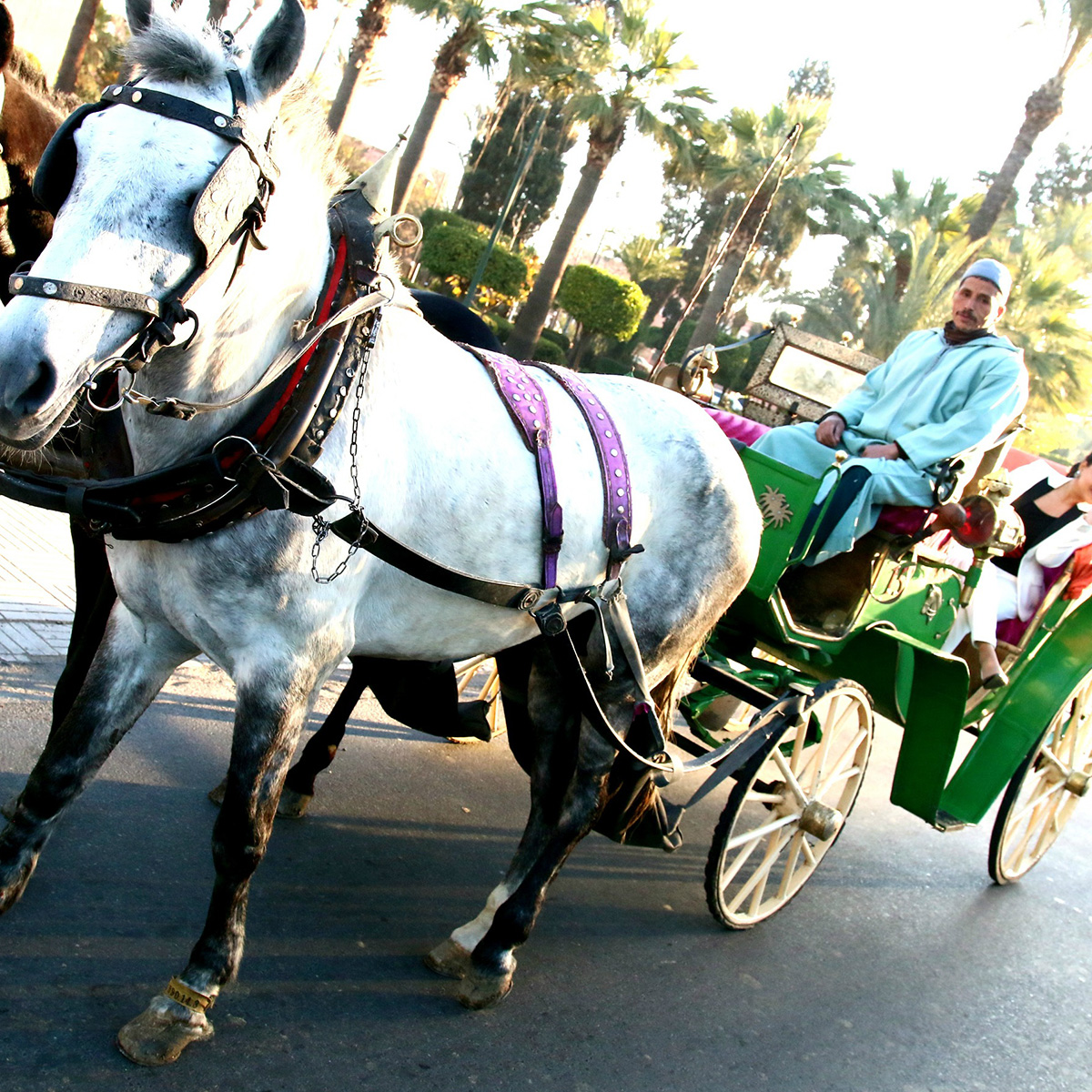 Caleche-Ride - Key Biscayne Magazine